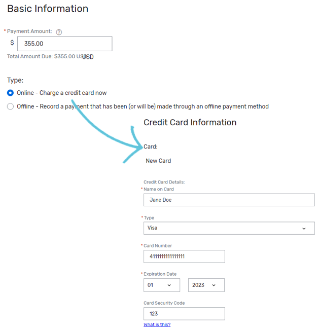 Processing Online Payments