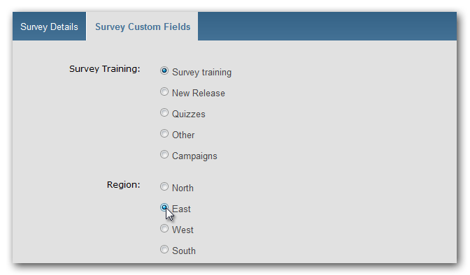 Using Survey Custom Fields